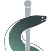 Moray Medical Secures $3.3M Seed Round to Revolutionize Mitral Valve ...