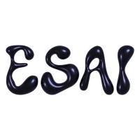 ESAI Secures $1.25M in Pre-Seed Funding to Revolutionize College Advising