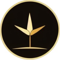 Glow International Secures $30 Million Funding for Groundbreaking Solar ...