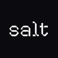 Salt AI Secures $3 Million in Seed Funding to Revolutionize Visual AI ...
